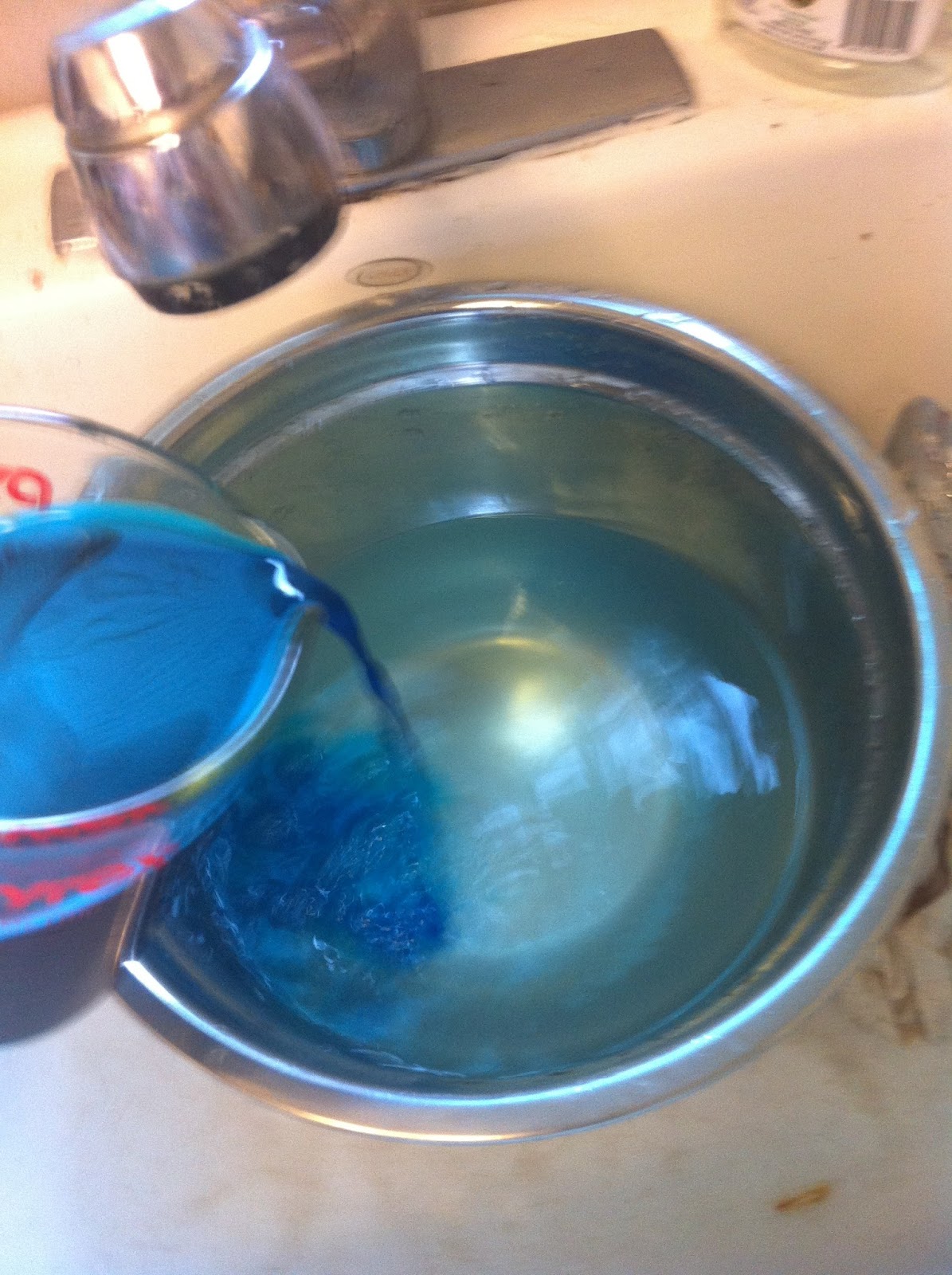 Darnell Homestead: Dyeing for a New Garden Bag